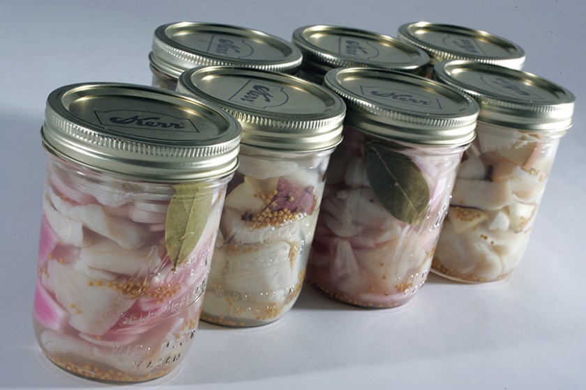How to pickle asian carp or other bony fish – TOAL-Trip of a Lifetime